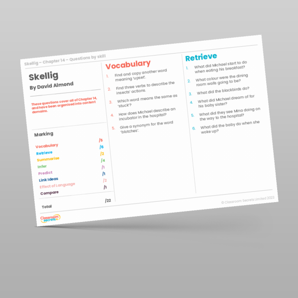 UKS2 Reading Skills Skellig Chapter 14 Resource | Classroom Secrets