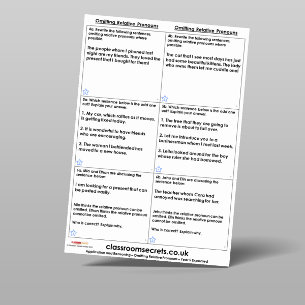Year 5 Omitting Relative Pronouns Application And Reasoning Resource ...
