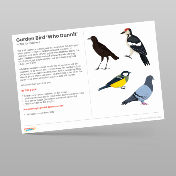 KS2 Big Schools Birdwatch Who Dunnit Resource | Classroom Secrets