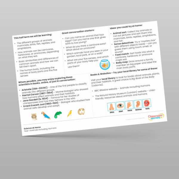 Year 1 Animals Including Humans Science At Home Resource | Classroom ...