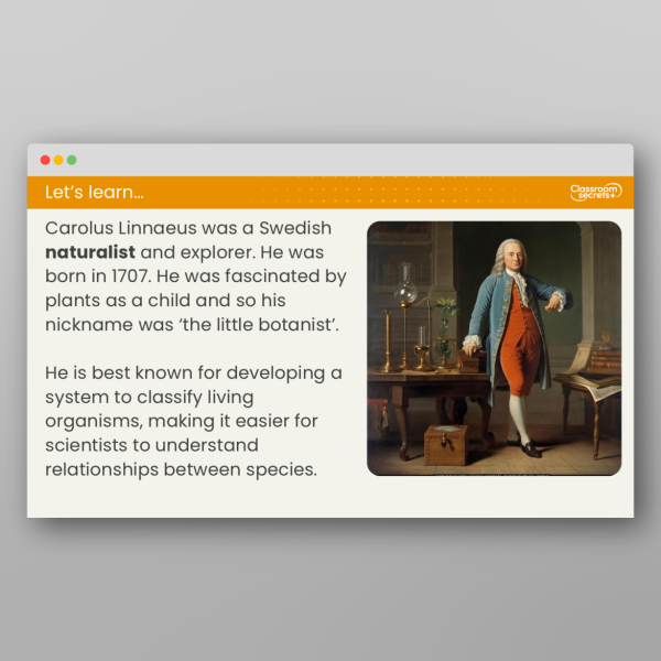 Year 6 Why Is Carolus Linnaeus Important Lesson Resource | Classroom ...