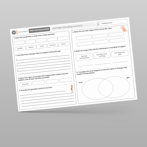 Year 5 Animals Including Humans Post Unit Assessment Resource ...