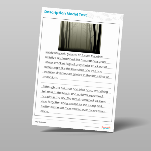 LKS2 The Tin Forest Writing Unit Model Text And Writing Frame Resource ...