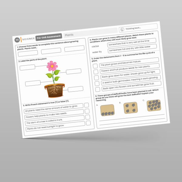 Year 3 Plants Pre Unit Assessment Resource | Classroom Secrets