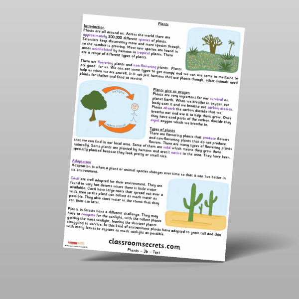 KS2 Plants Ruby Guided Reading Pack Resource | Classroom Secrets