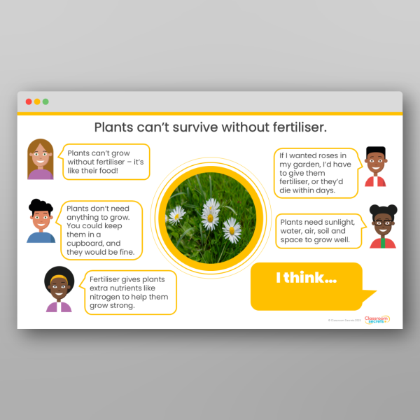 Year 3 Plants Concept Cartoons Resource | Classroom Secrets