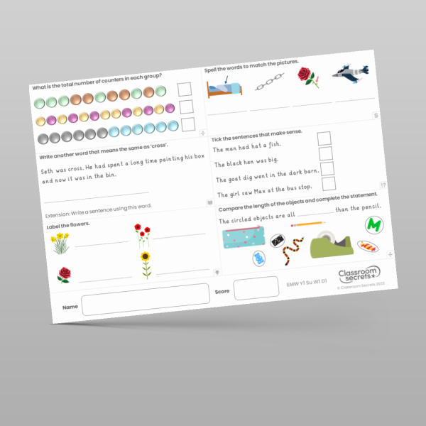 Year 1 Early Morning Work Summer Week 1 Resource | Classroom Secrets